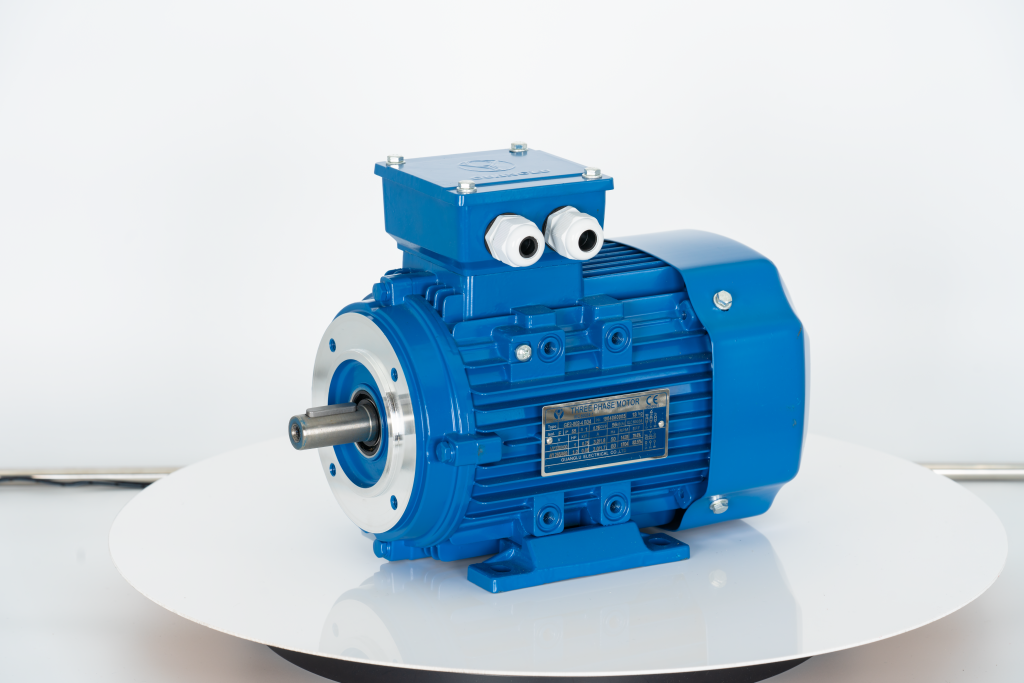 2 poles 0.75kw 1HP2800rpm shaft 19mm Induction Electric motor engine